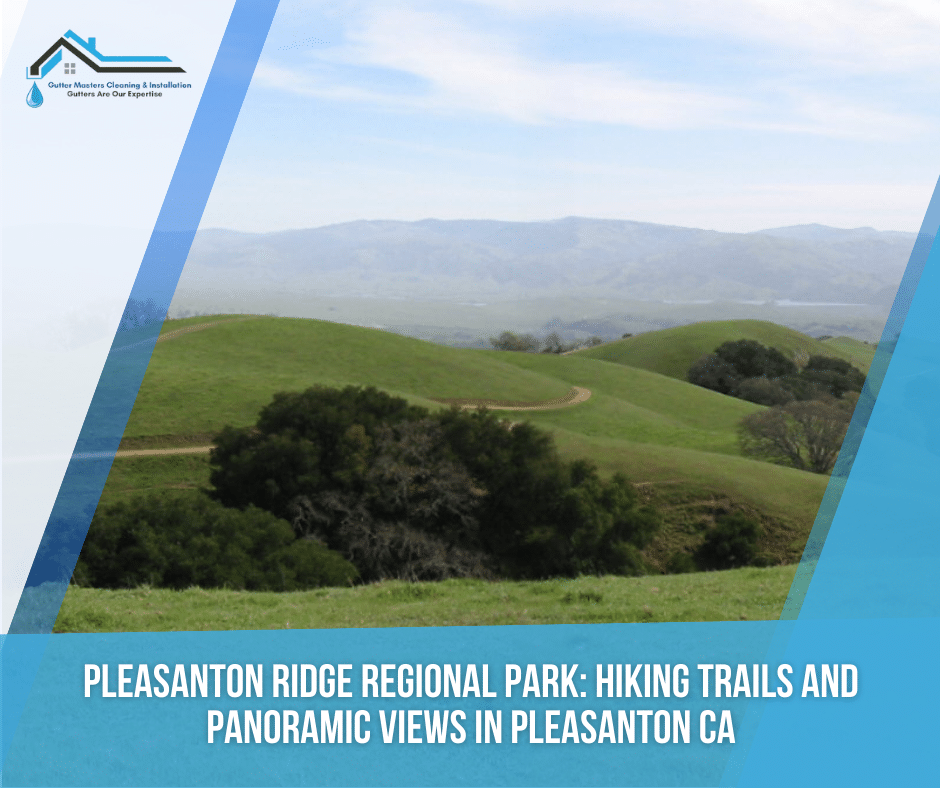 Hiking Trails and Panoramic Views at Pleasanton Ridge Regional Park ...