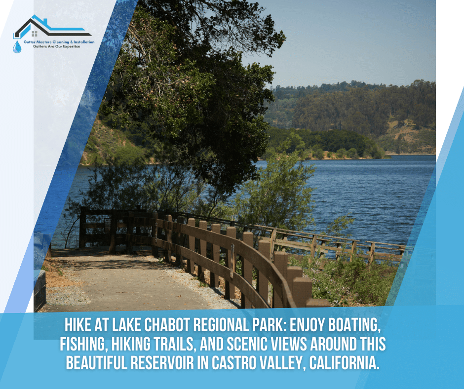 Hike at Lake Chabot Regional Park: Enjoy Boating, Fishing, Hiking ...