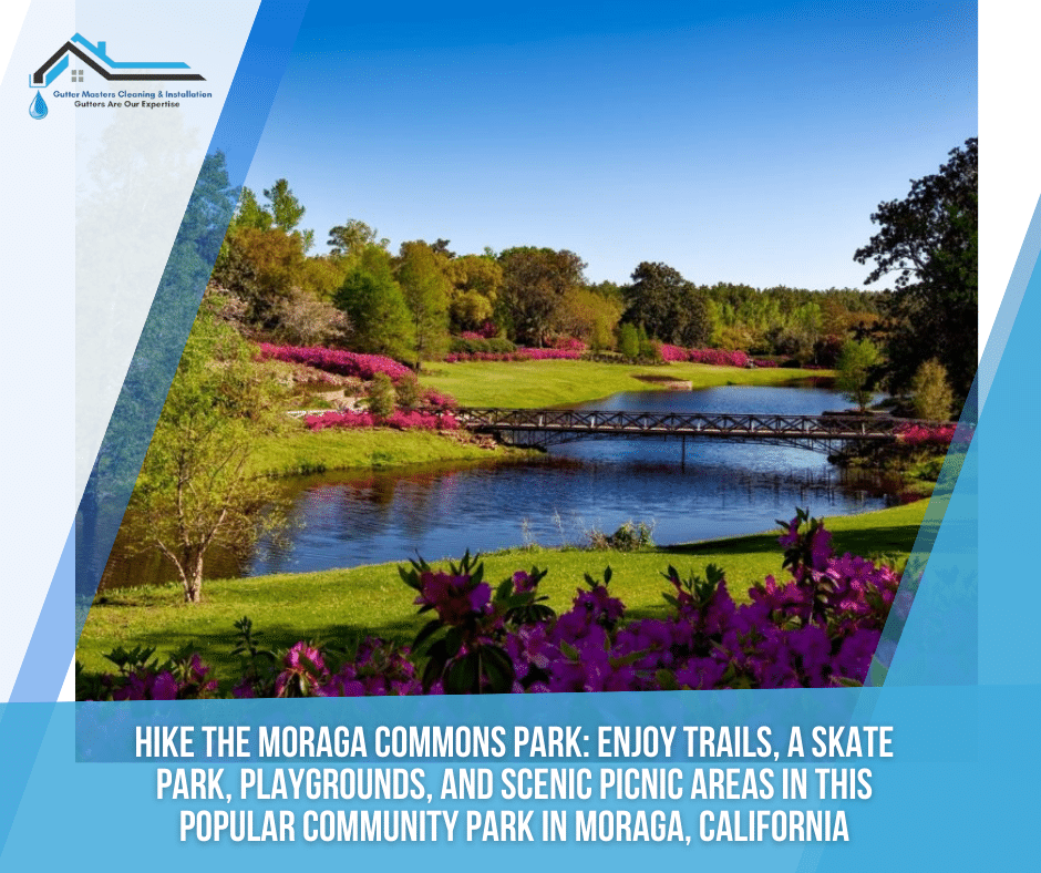 Hike the Moraga Commons Park: Enjoy Trails, a Skate Park, Playgrounds ...