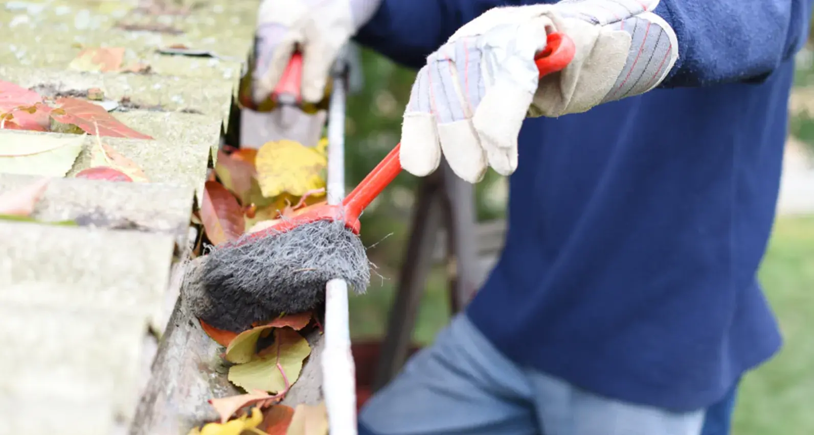 How Long Does Gutter Cleaning Take in the San Francisco Bay Area? What ...